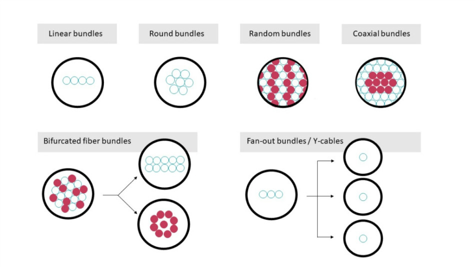 ㈜파이버링크 - 19 Leg Fiber Bundle Cable(19 fibers)